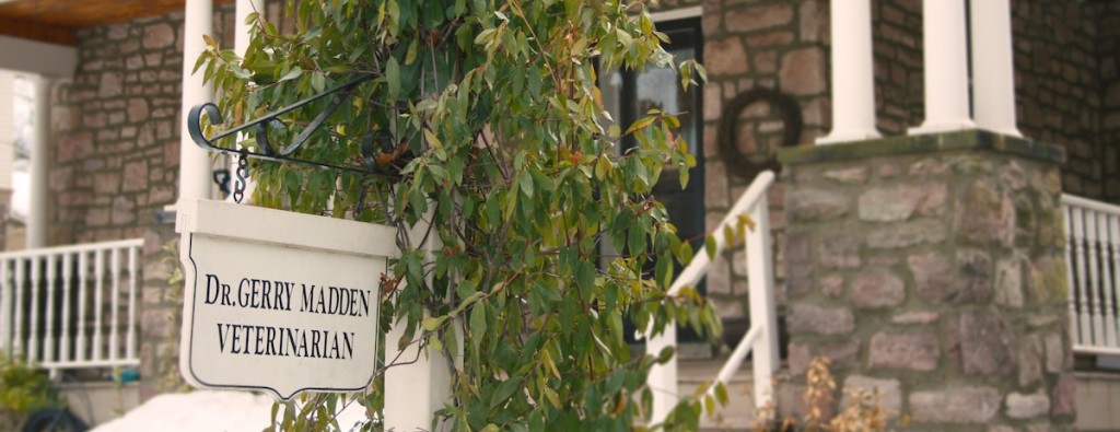 Madden Animal Hospital | Veterinarian in Ambler, PA – PLEASE CALL (215 ...