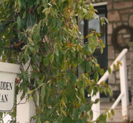 Madden Animal Hospital | Veterinarian in Ambler, PA – PLEASE CALL (215 ...